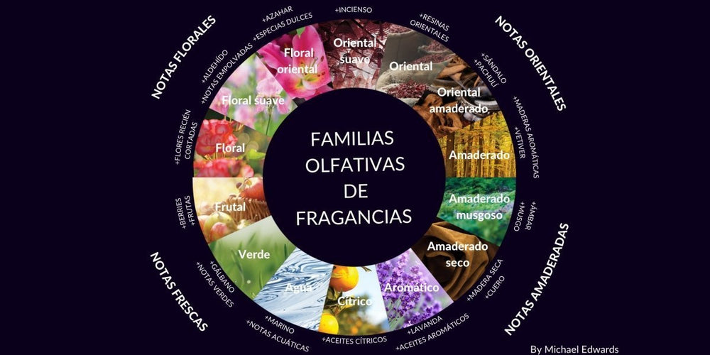 Qué son las familias de fragancias – Parfumerie d'Aquitaine